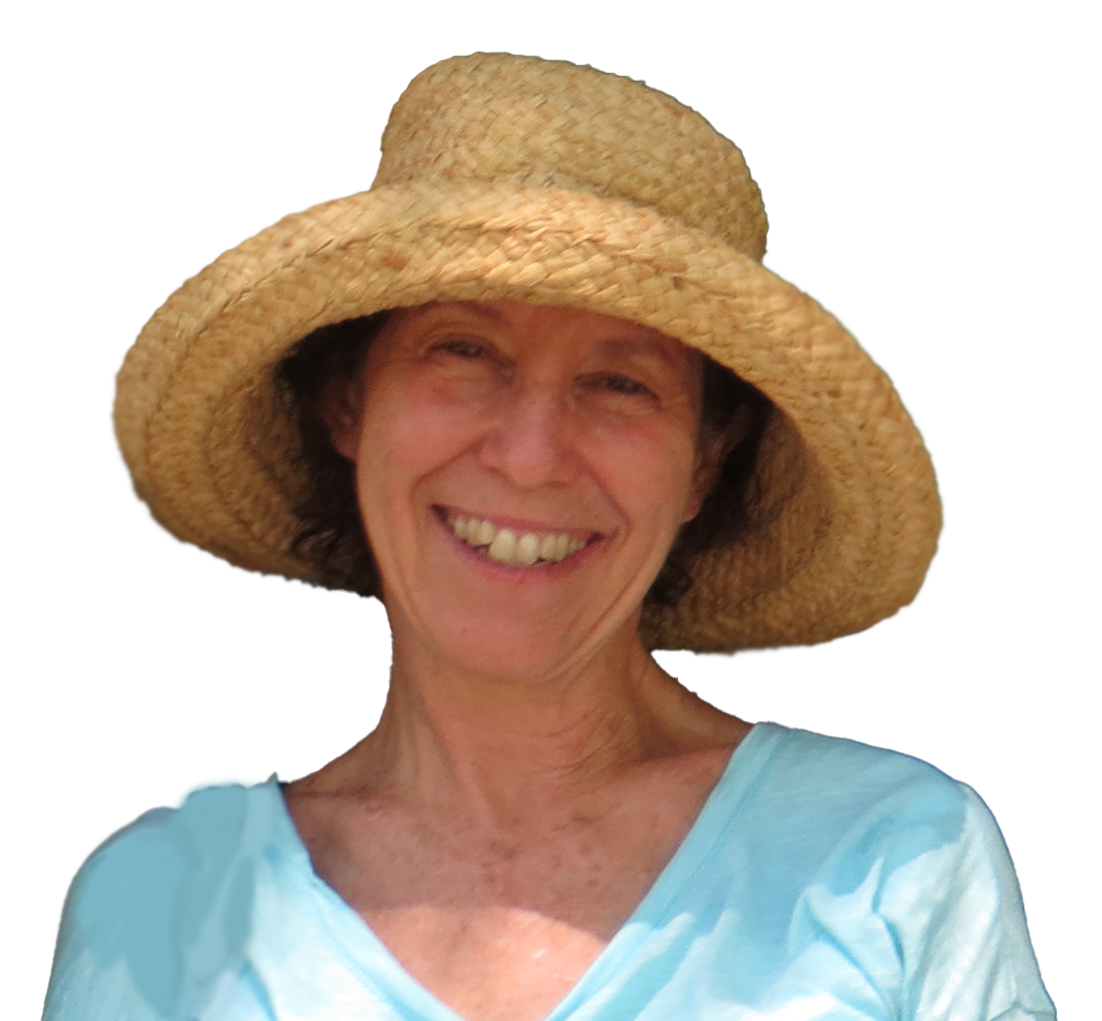 Cathy Shields – WRITER